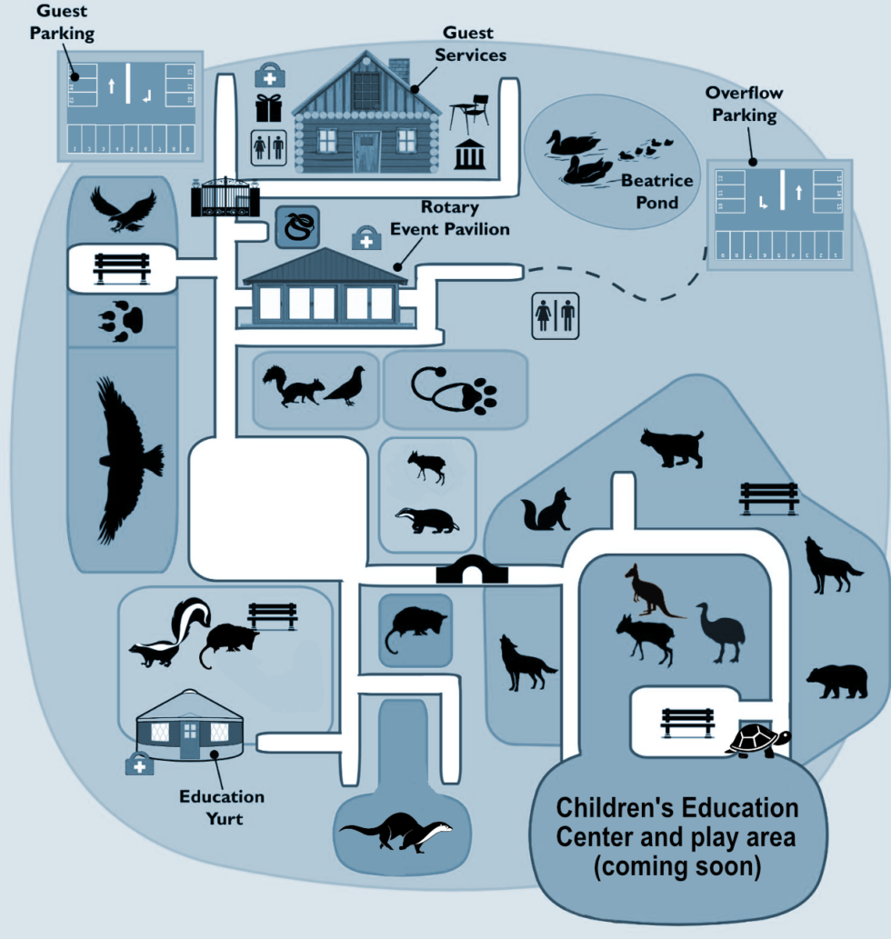 Explore Wildlife Park: A Journey of Discovery and Care - Wildlife Images